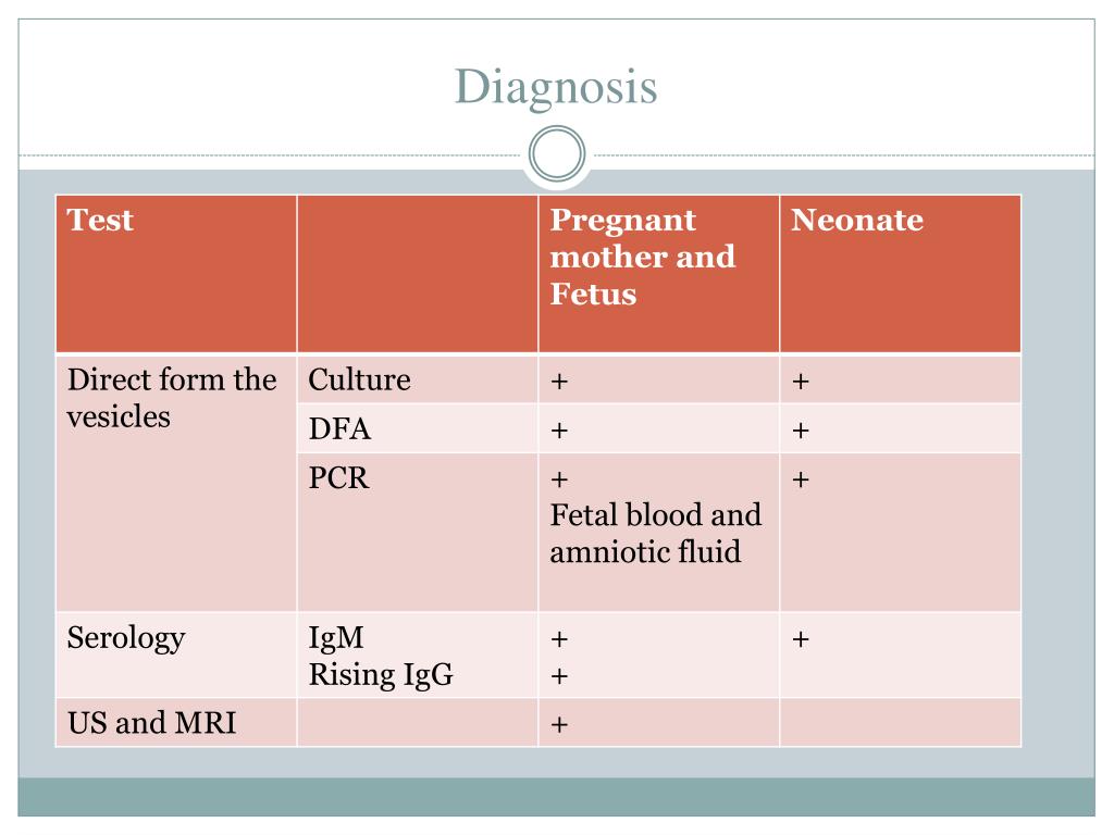 PPT - Transplacental (Congenital) Infection PowerPoint Presentation ...