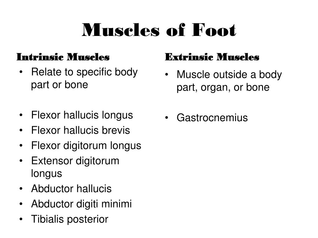 Intrinsic vs extrinsic foot muscles - comfortsapje Intrinsic vs extrinsic foot muscles - comfortsapje