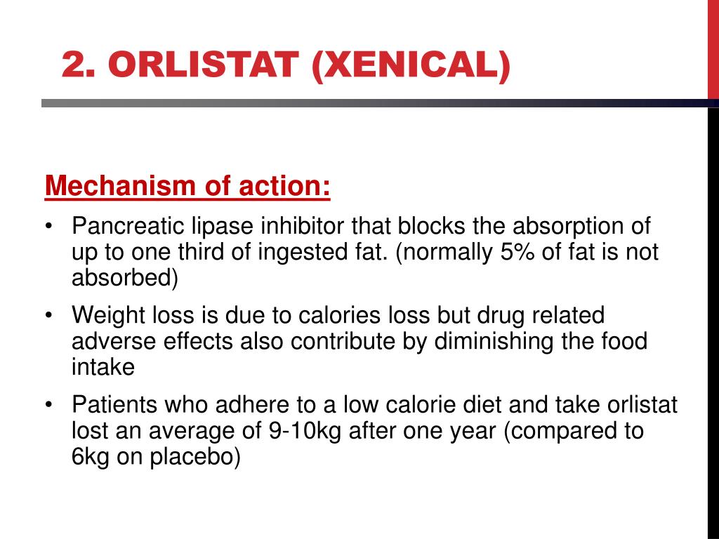 PPT - The Pharmacology of Obesity PowerPoint Presentation, free ...