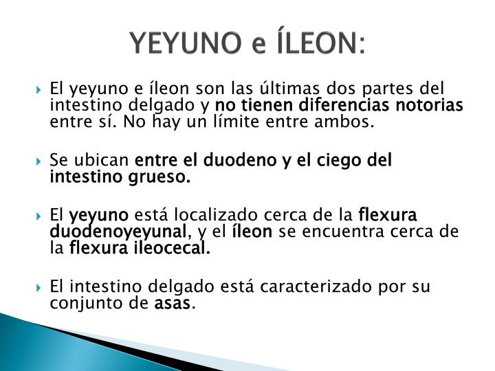 PPT - ANATOMÍA DEL INTESTINO DELGADO: PowerPoint Presentation - ID:2362342