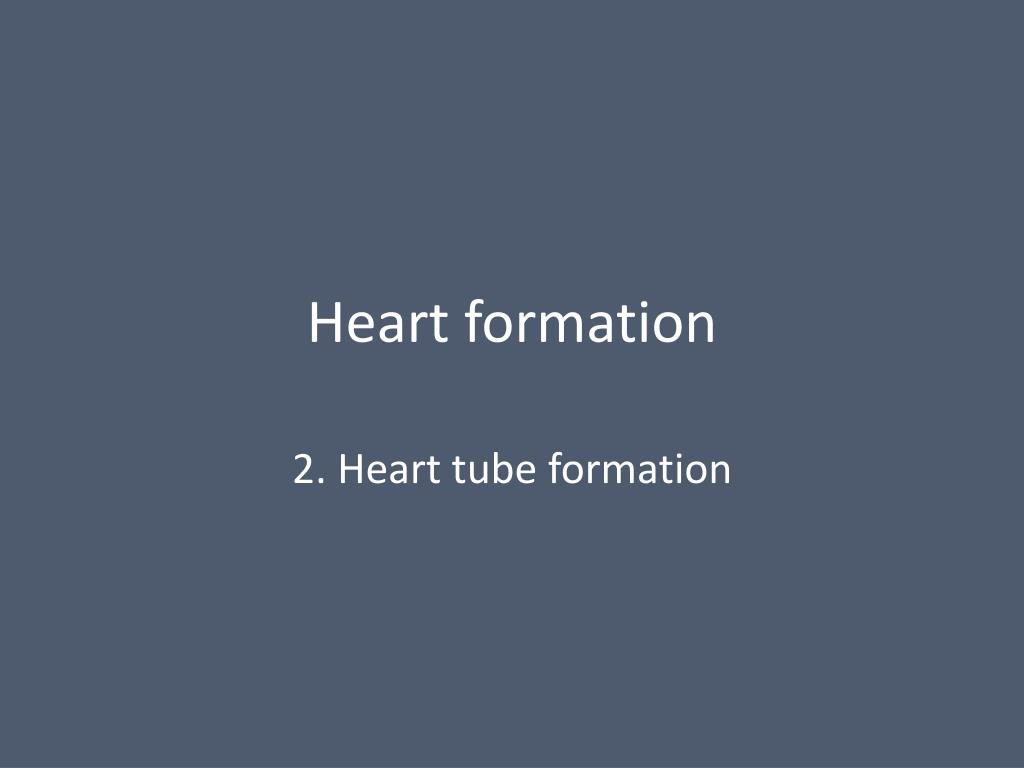 PPT - The Etiology of Human Congenital Heart Defects PowerPoint ...