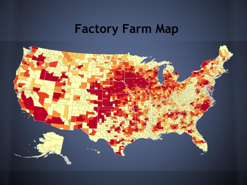 PPT - No Excuse For Animal Abuse PowerPoint Presentation, free download ...