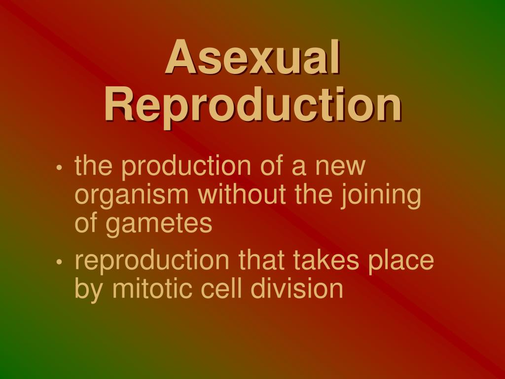 PPT - two parents male gamete female gamete genetic variation ...