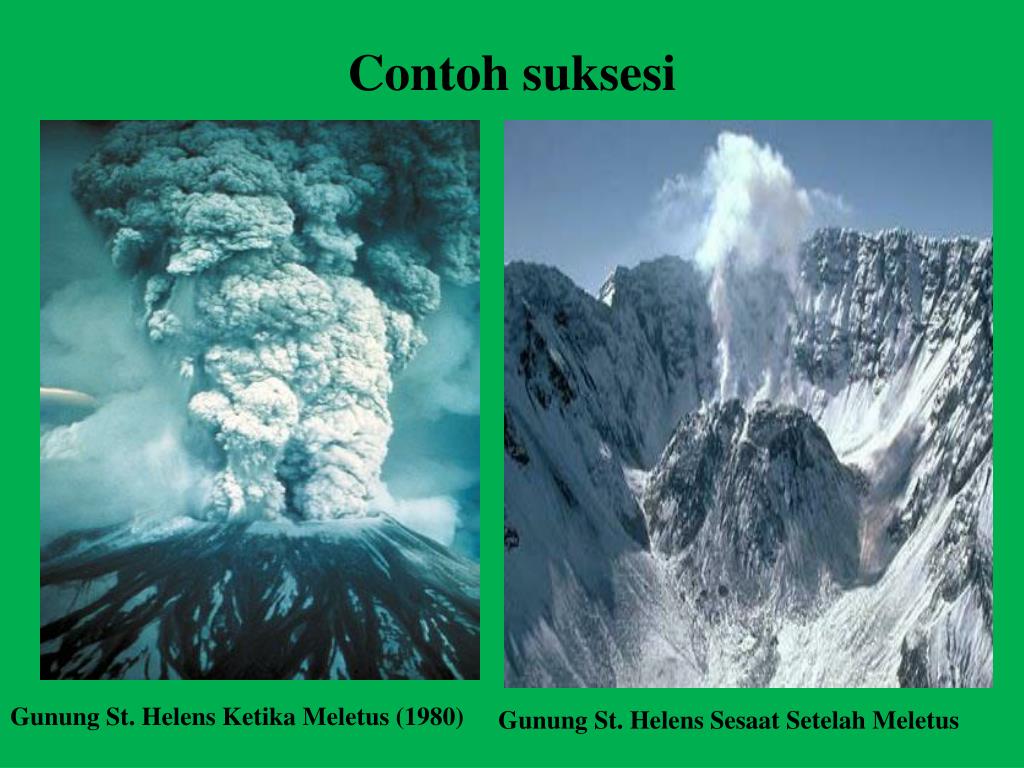 PPT - SUKSESI ( Definisi, Pendekatan Kajian, Konsep Klimaks ...