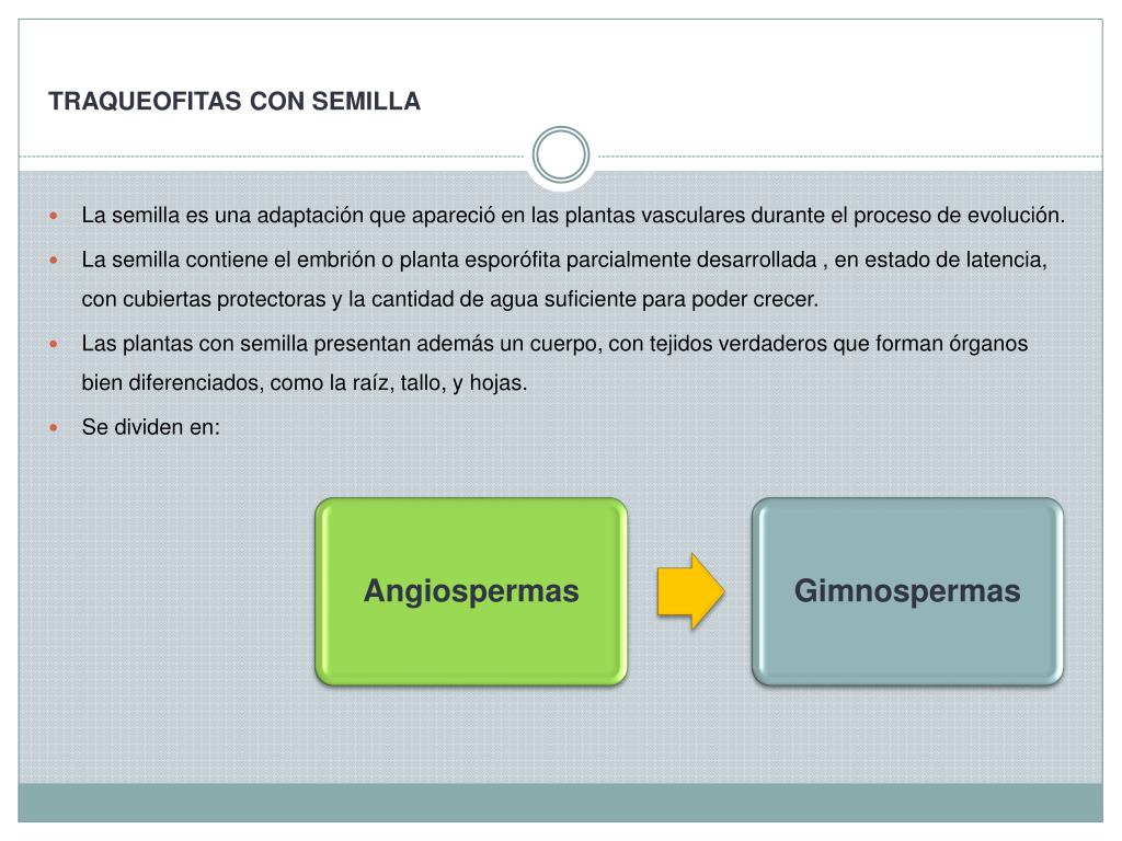 PPT - UNIDAD IV CLASIFICACIÓN DE LOS SERES VIVOS “Los Dominios y reinos ...