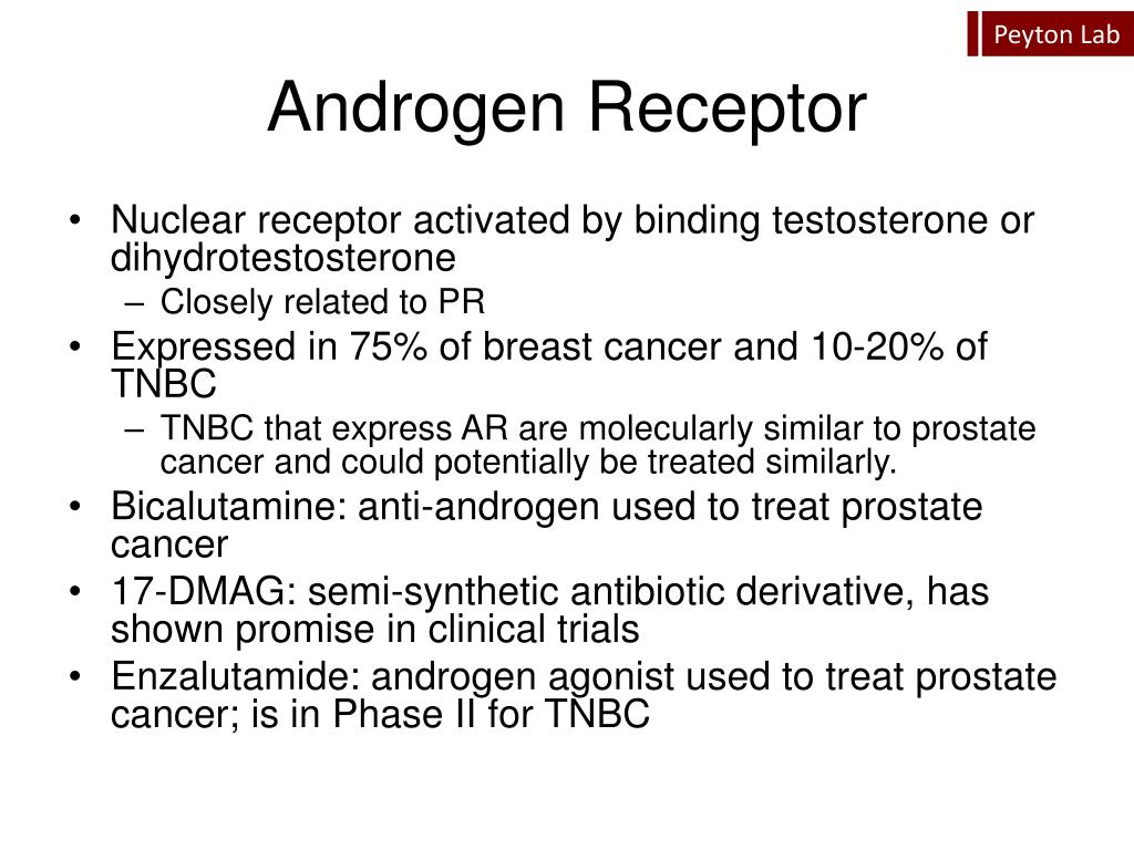 PPT - Chemotherapeutic Treatment Options for Triple Negative Breast ...