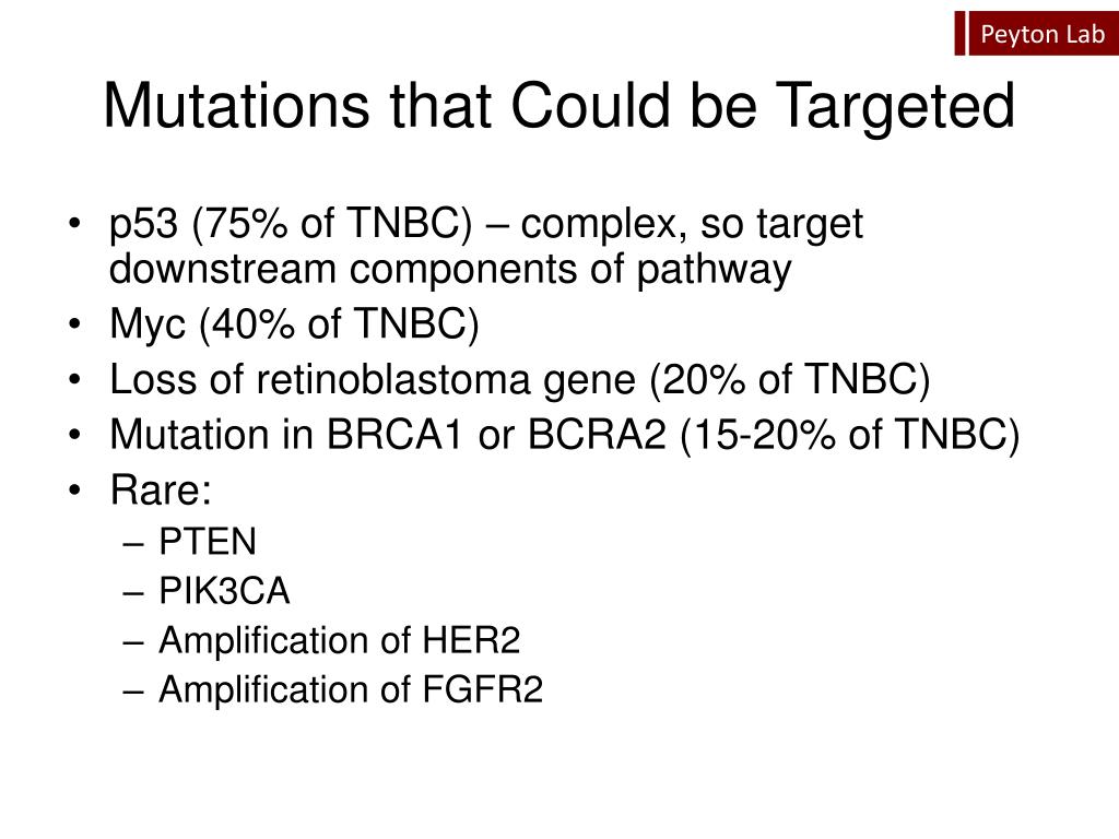 PPT - Chemotherapeutic Treatment Options for Triple Negative Breast ...