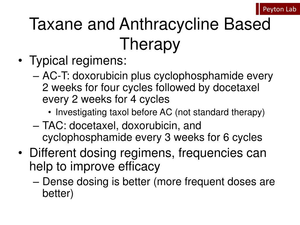 PPT - Chemotherapeutic Treatment Options for Triple Negative Breast ...