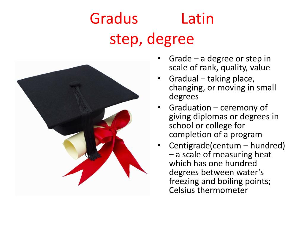 PPT - Greek and Latin Roots 2 PowerPoint Presentation, free download ...