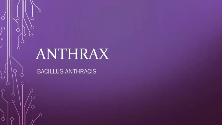 PPT - Anthrax PowerPoint Presentation, free download - ID:2363788