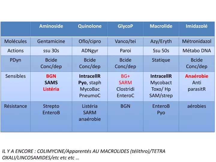 PPT - IL Y A ENCORE : COLIMYCINE/Apparentés AU MACROLIDES ( télithro ...