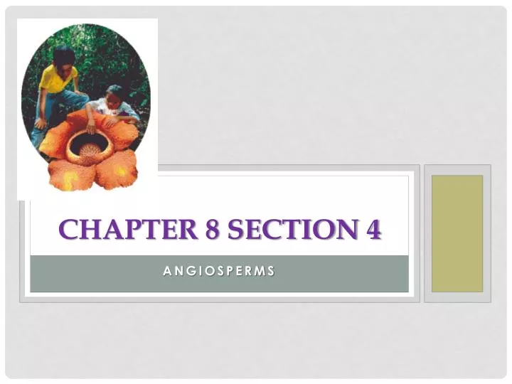 PPT - Chapter 8 Section 4 PowerPoint Presentation, free download - ID:2364021