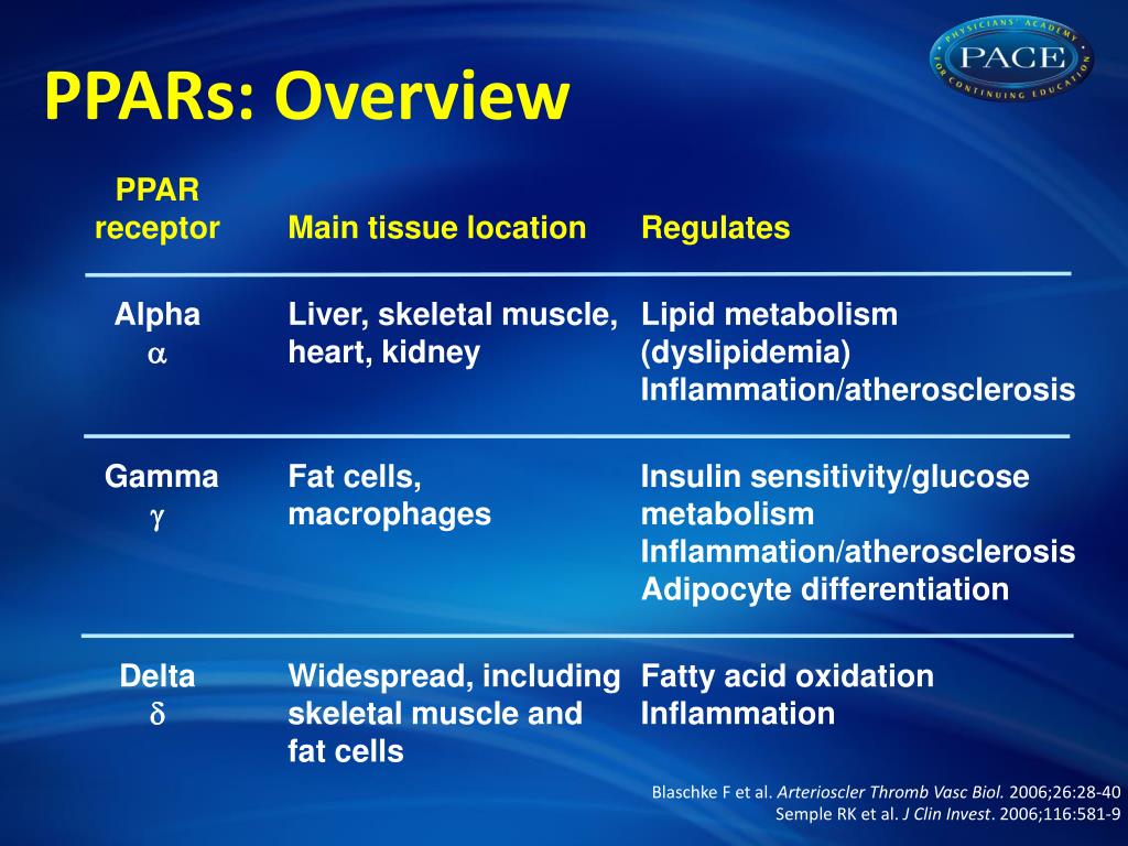 PPT - New perspectives in cardio protection: Focus on PPAR activation ...