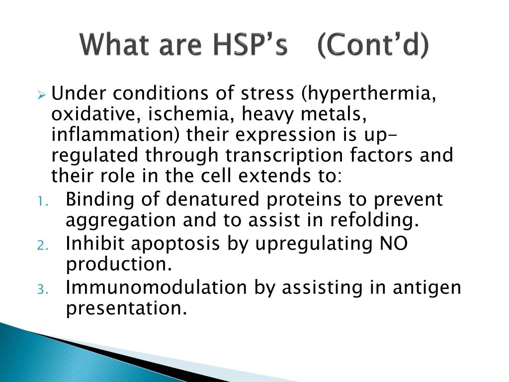 PPT - Heat Shock Proteins and their Role in Thermal Therapies ...