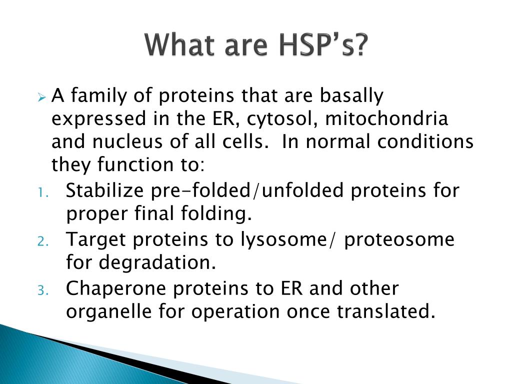PPT - Heat Shock Proteins and their Role in Thermal Therapies ...