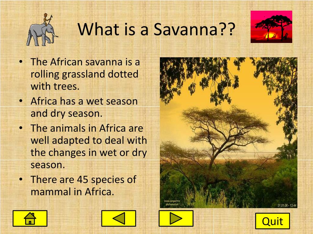 PPT - A Trip to the African Savanna (Virtual Tour) ) PowerPoint ...