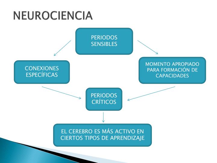 Ppt Neurociencias Powerpoint Presentation Id 2364823