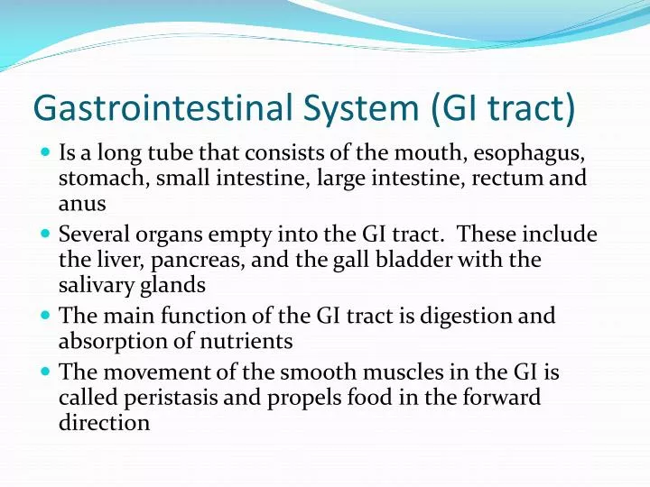 PPT - Gastrointestinal System (GI tract) PowerPoint Presentation, free ...