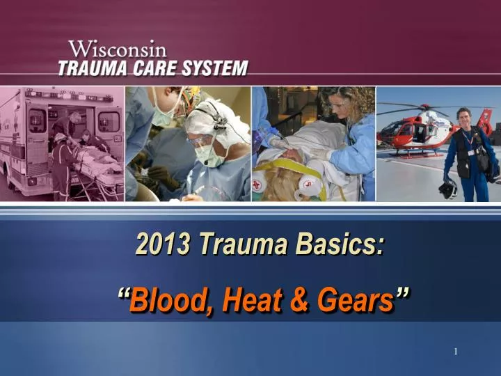 PPT - 2013 Trauma Basics: PowerPoint Presentation, free download - ID ...