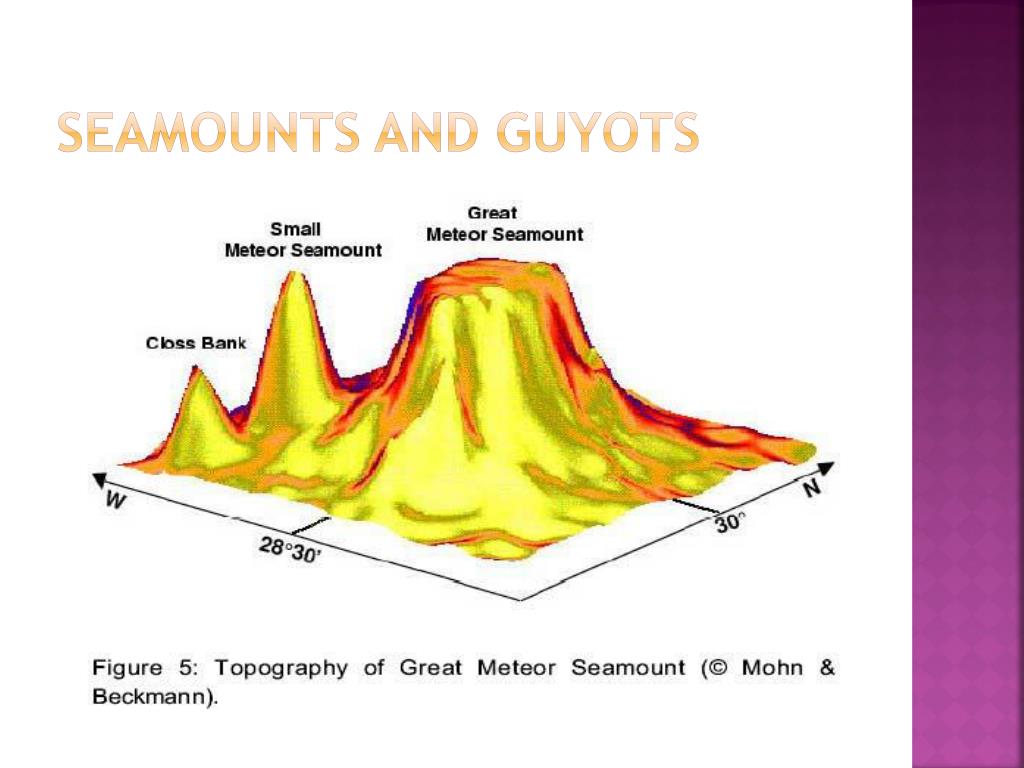 PPT - Earth’s Oceans PowerPoint Presentation, free download - ID:2365772