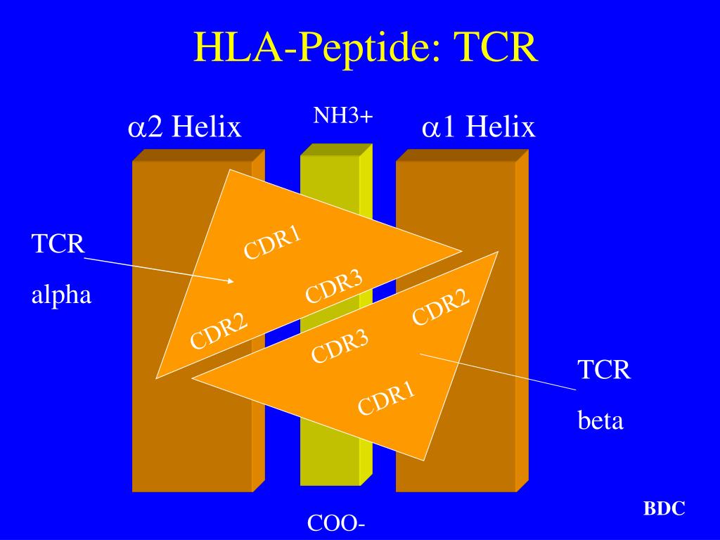 PPT - One Critical Protein One Critical Peptide One Critical Register ...