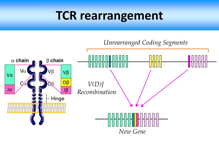 PPT - One Critical Protein One Critical Peptide One Critical Register ...