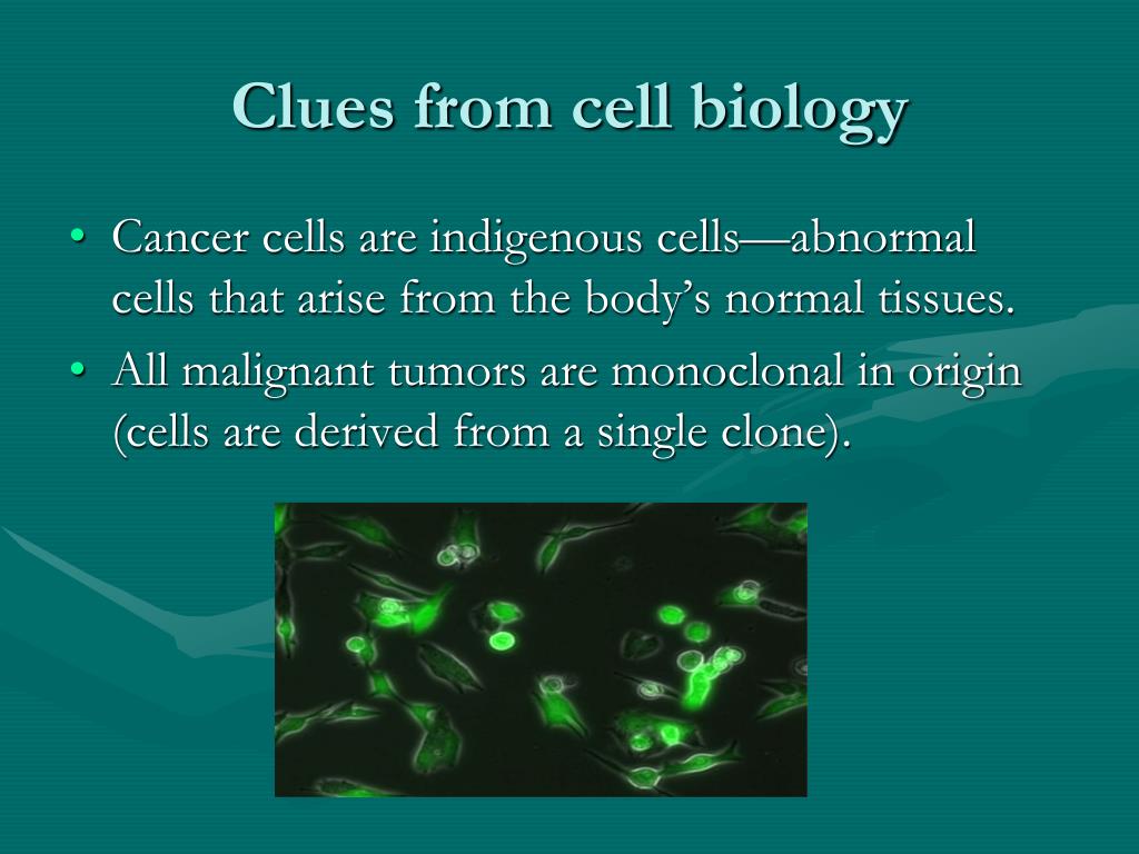 PPT - Cell Biology and Cancer PowerPoint Presentation, free download ...