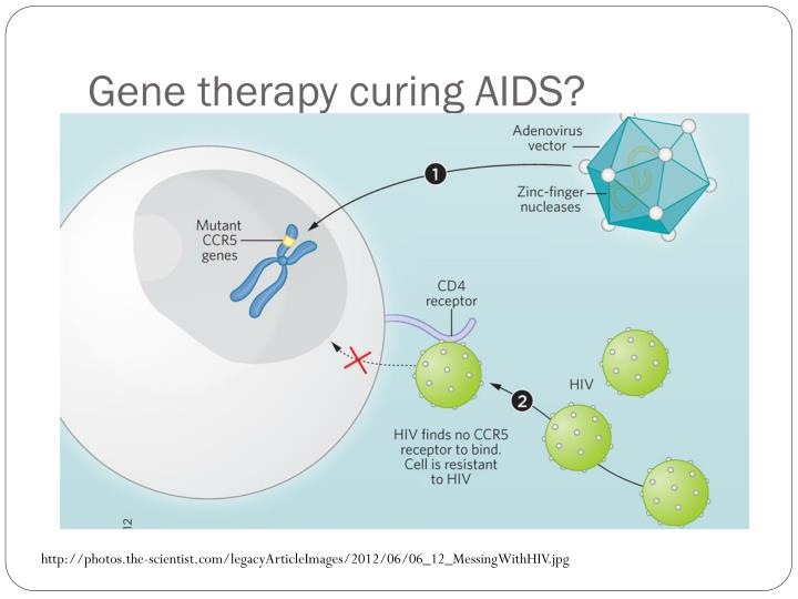 PPT - Genomics PowerPoint Presentation - ID:2367029