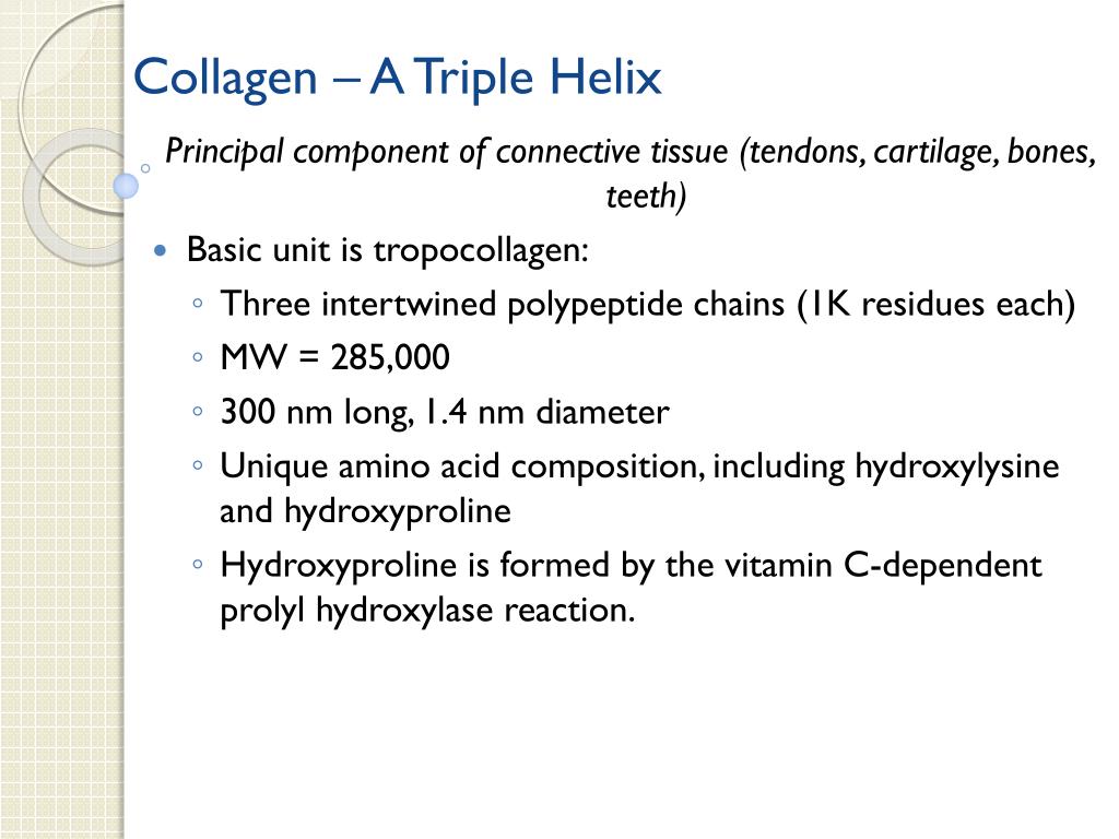 PPT - COLLAGEN CHEMISTRY AND BIOLOGY PowerPoint Presentation, free ...