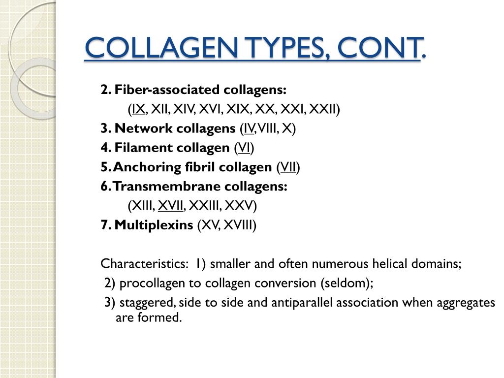PPT - COLLAGEN CHEMISTRY AND BIOLOGY PowerPoint Presentation, free ...
