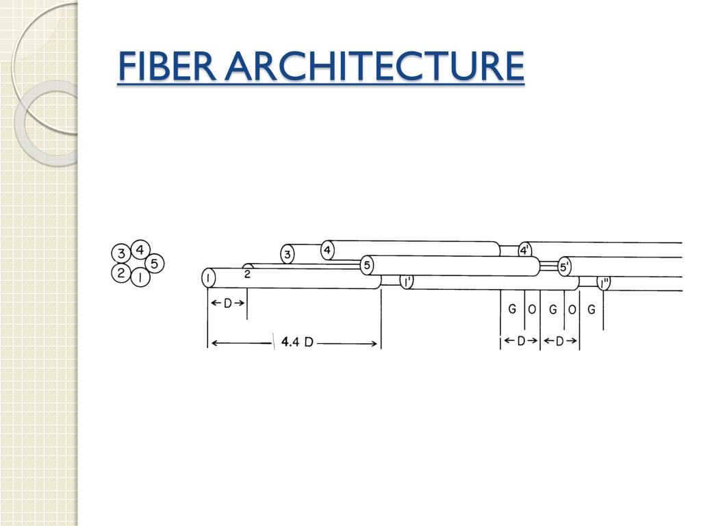 PPT - COLLAGEN CHEMISTRY AND BIOLOGY PowerPoint Presentation, free ...