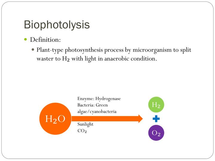 PPT - Production of Bio-hydrogen by Microorganism PowerPoint ...