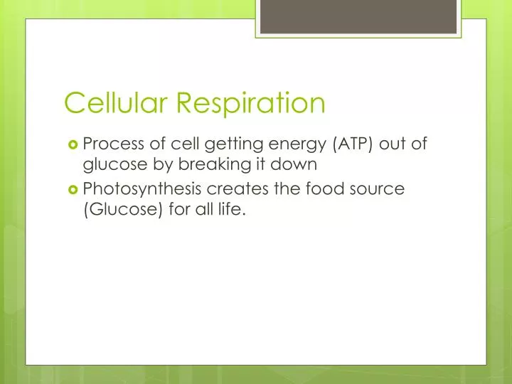 PPT - Cellular Respiration PowerPoint Presentation, free download - ID ...