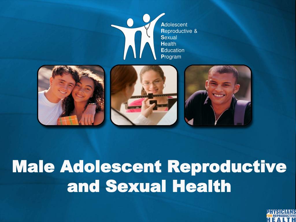 PPT - Male Adolescent Reproductive and Sexual Health PowerPoint ...