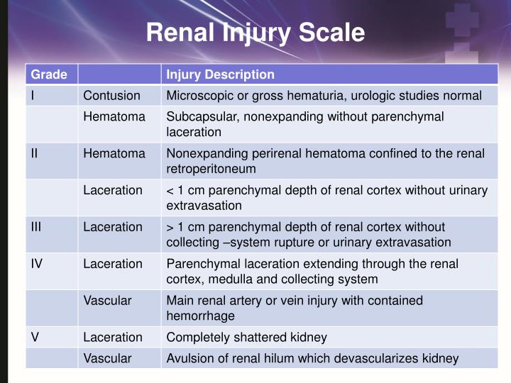 PPT - Genitourinary Injuries PowerPoint Presentation - ID:2367710