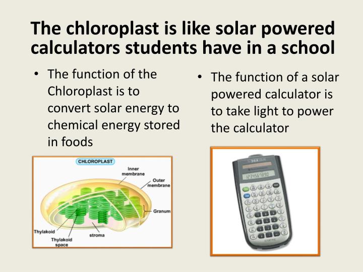 PPT - Cell Analogies PowerPoint Presentation - ID:2367790