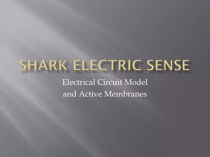 PPT - Shark Electric Sense PowerPoint Presentation, free download - ID ...