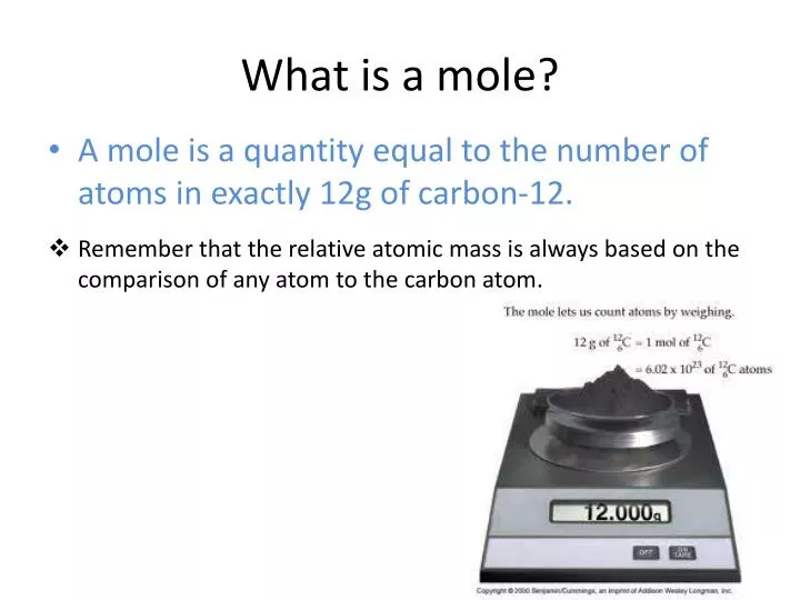 PPT - What is a mole? PowerPoint Presentation, free download - ID:2368225