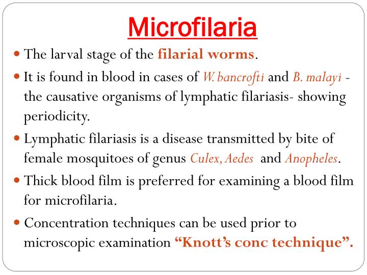 PPT - Medical Parasitology PowerPoint Presentation - ID:2368422