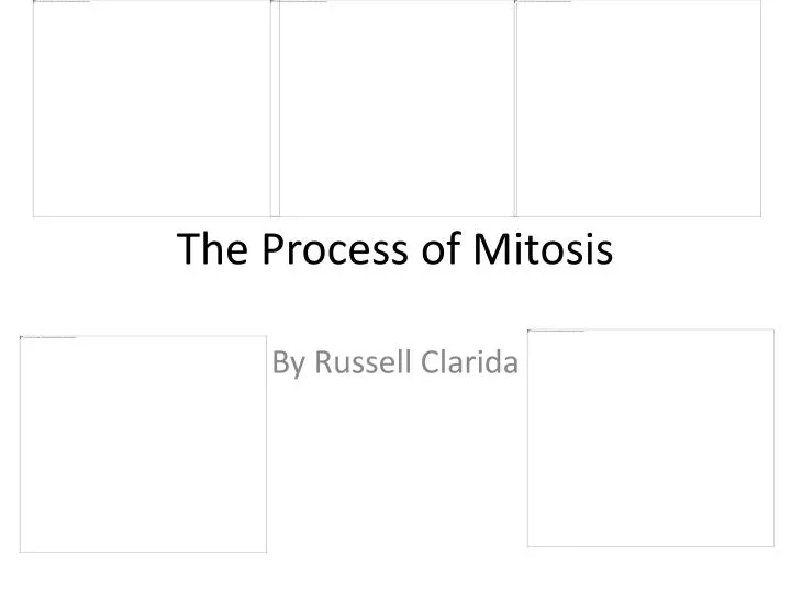 PPT - The Process of Mitosis PowerPoint Presentation, free download ...