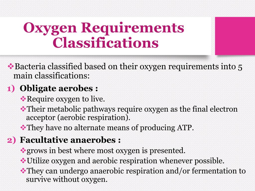 PPT - Bacteria oxygen requirements & Anaerobic Bacteria PowerPoint ... PPT - Bacteria oxygen requirements & Anaerobic Bacteria PowerPoint ...