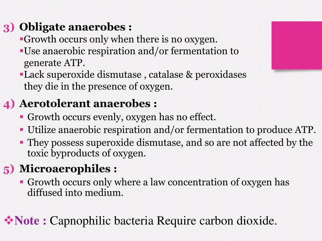 PPT - Bacteria oxygen requirements & Anaerobic Bacteria PowerPoint ... PPT - Bacteria oxygen requirements & Anaerobic Bacteria PowerPoint ...