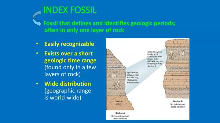 PPT - INDEX FOSSIL PowerPoint Presentation, free download - ID:2368684