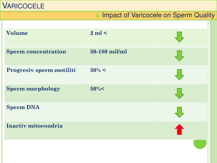 Ppt The Varicoceles Impact Over The Masculine Fertility Powerpoint