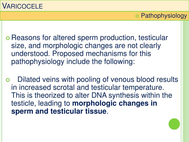 PPT - The Varicocele’s Impact over the Masculine Fertility PowerPoint ...
