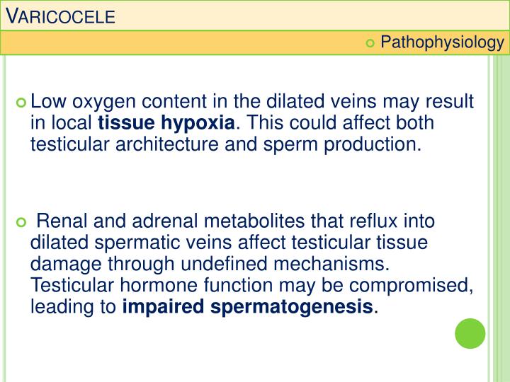 PPT - The Varicocele’s Impact over the Masculine Fertility PowerPoint ...