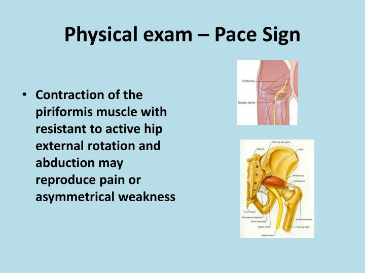 PPT - Piriformis Syndrome PowerPoint Presentation - ID:2369133