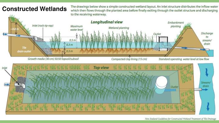 PPT - Tile Drains PowerPoint Presentation - ID:2369215