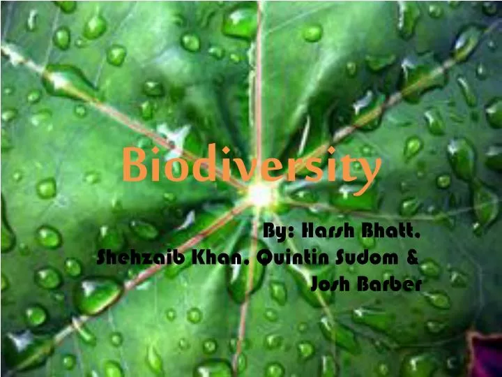 PPT - Biodiversity PowerPoint Presentation, free download - ID:2370731