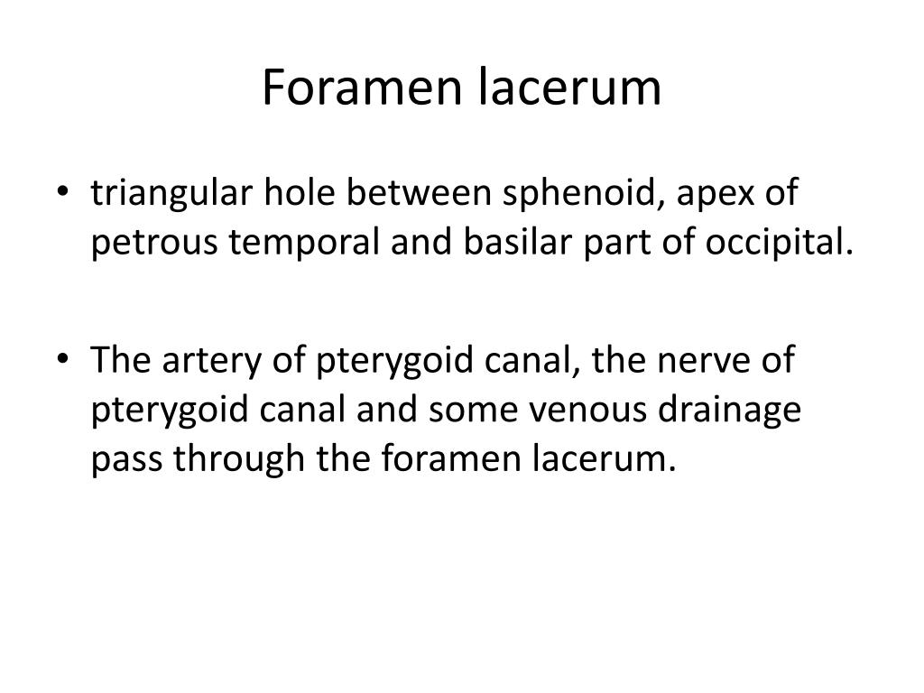 PPT - NASOPHARYNX, PNS & SALIVARY GLANDS PowerPoint Presentation, free ...